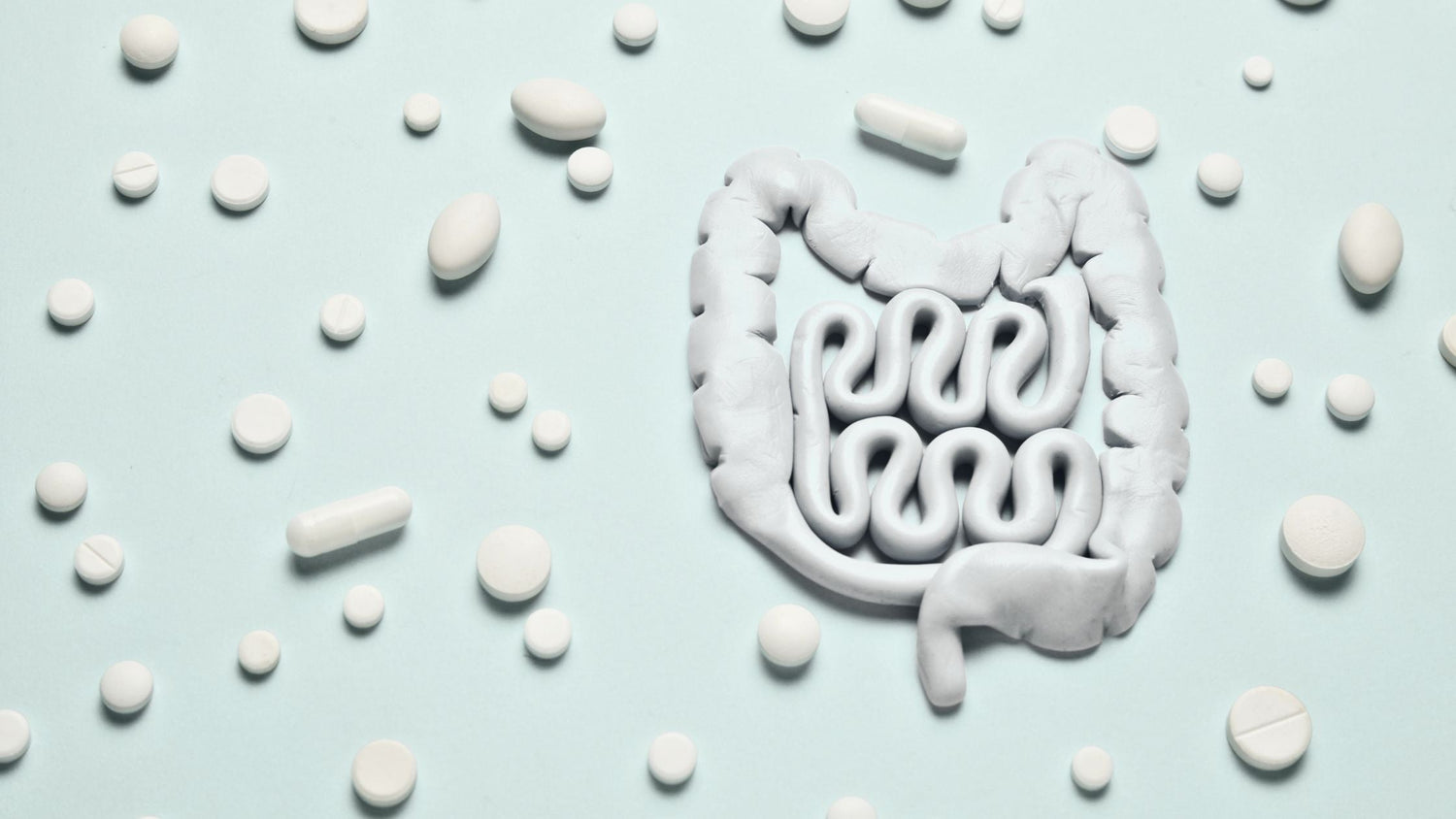 Exploring the Connection Between Nutraceuticals and Gut Flora Balance ...